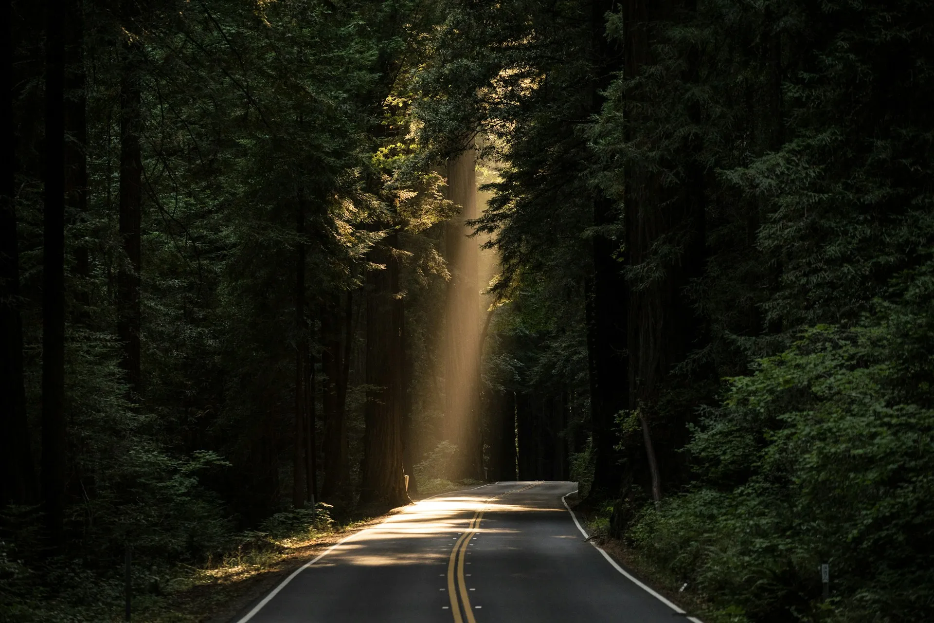 Should I Stay or Leave? | Nonmonogamy.org